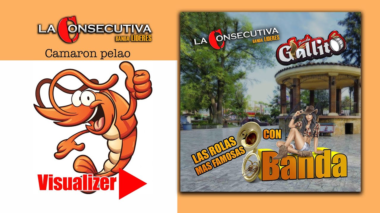 Camaron Pelao - La Consecutiva Banda Lideres - YouTube