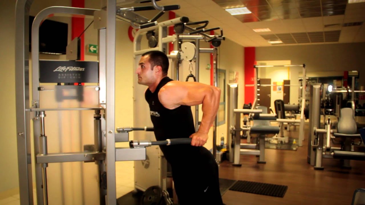 Trening tricepsów - pompki na poręczach - Atlas Ćwiczeń SFD - YouTube