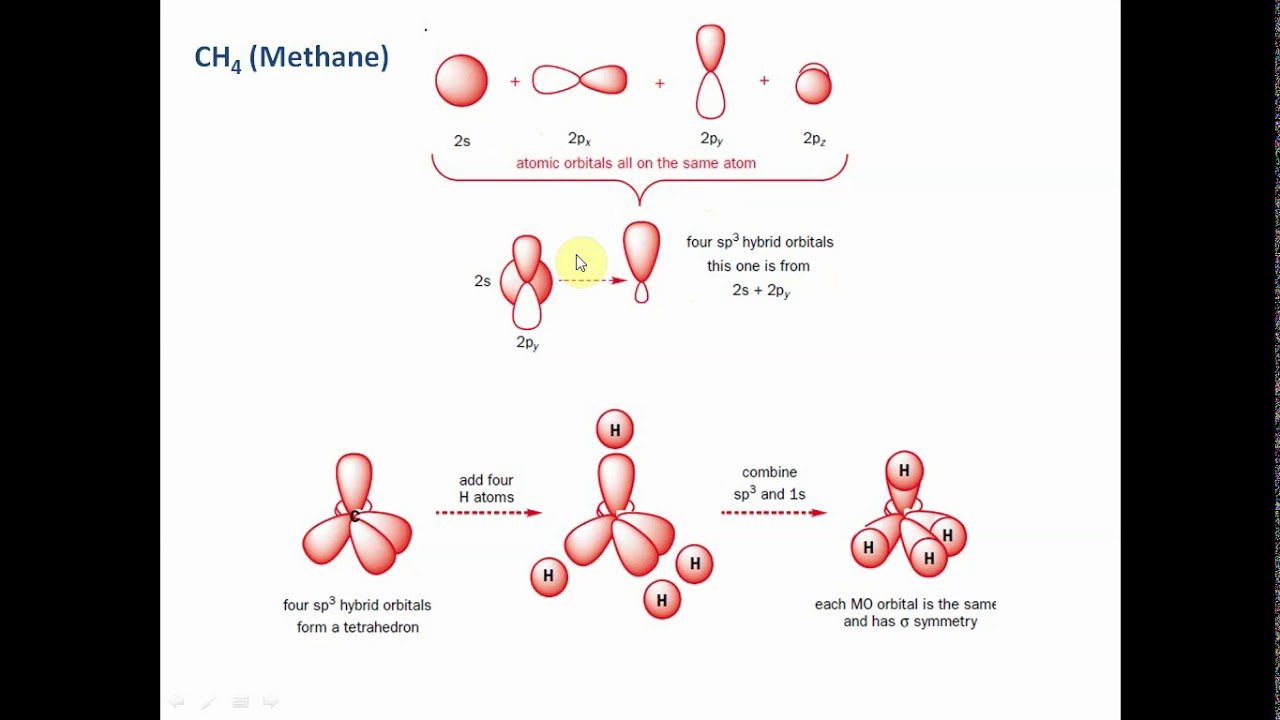 L-1 Hybridization Types, Condition & Shape of Organic Molecules - YouTube