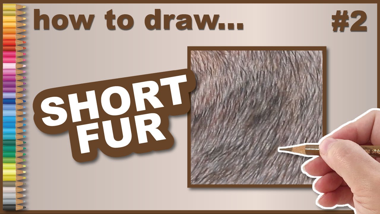 Short Fur - How to draw Degu - #2 Fur Friday - YouTube