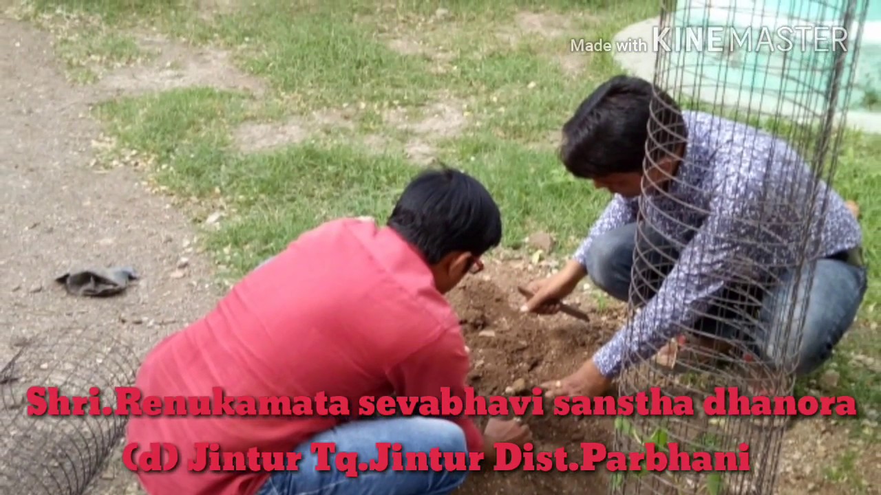 save tree |zade lava zade jagava| Tree plantation| झाडे लावा झाडे जगवा ...
