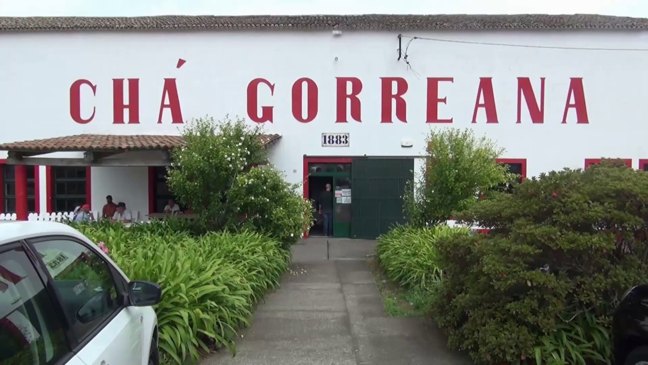 Passeio Cha Gorreana - YouTube