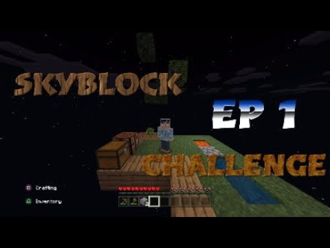 Minecraft Skyblock Challenge - EP 1 - YouTube