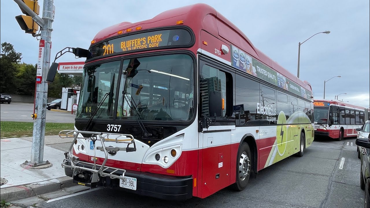 TTC 2019 BYD K9M "eBus-12" #3757 | 201 Bluffer's Park - YouTube