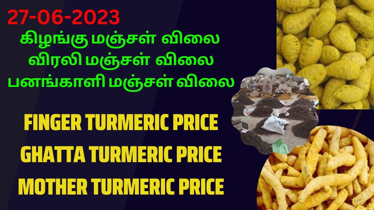 Turmeric Auctioned For Rs 32 Lakhs At Namagiripettai Society turmeric-auctioned-for-rs-32-lakhs-at-namagiripettai-society