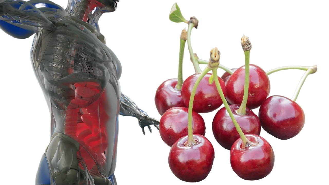 Beat Inflammation & Pain: The Cherry Cure You Didn't Know About! 🍒 ...