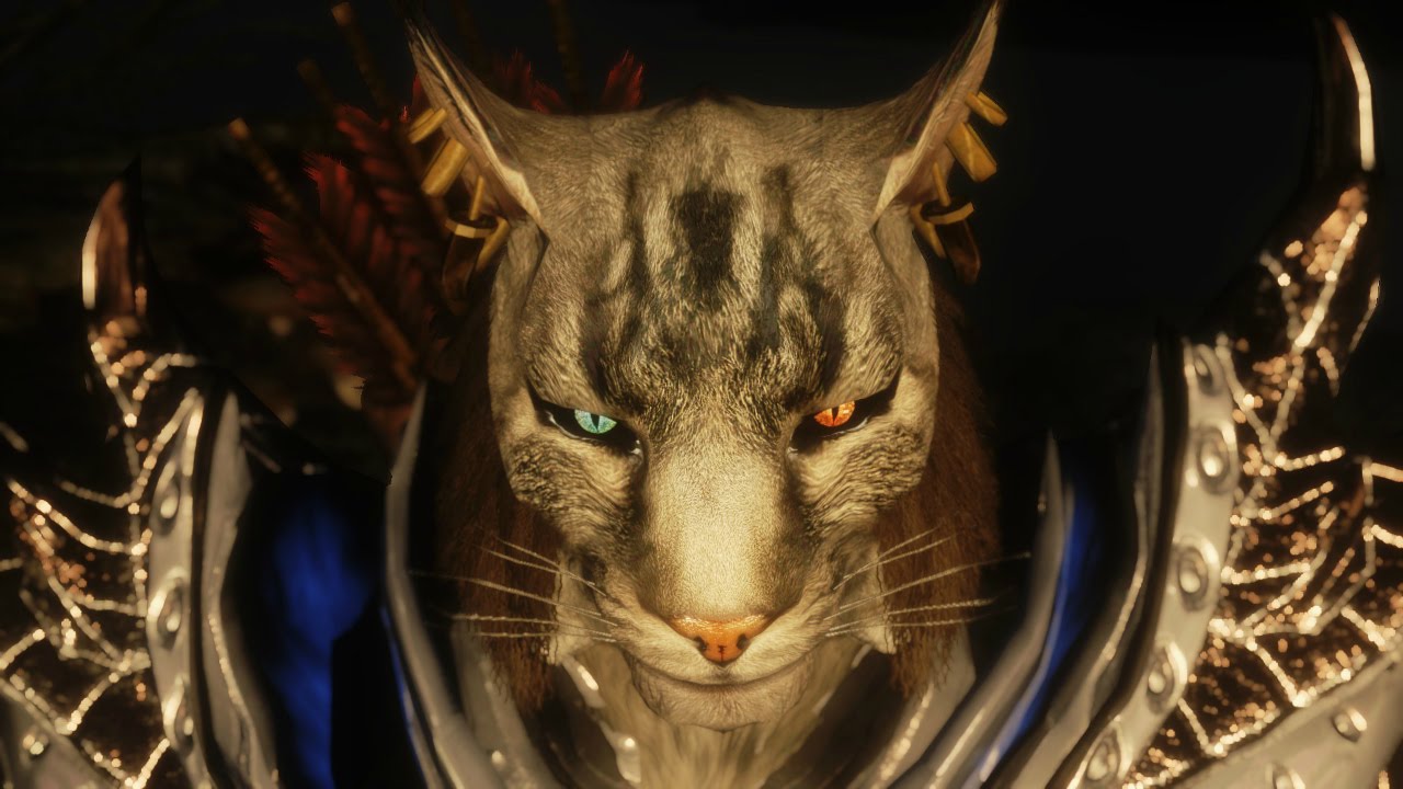 Elder Scrolls Khajiit Explained Who What Skyrims Cat People Are