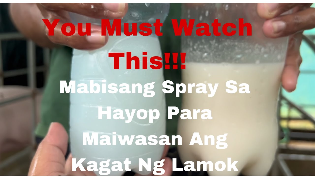 Sulosyon Para Iwas Kagat Ng Lamok Ang Mga Alagang Hayop | Part2 - YouTube