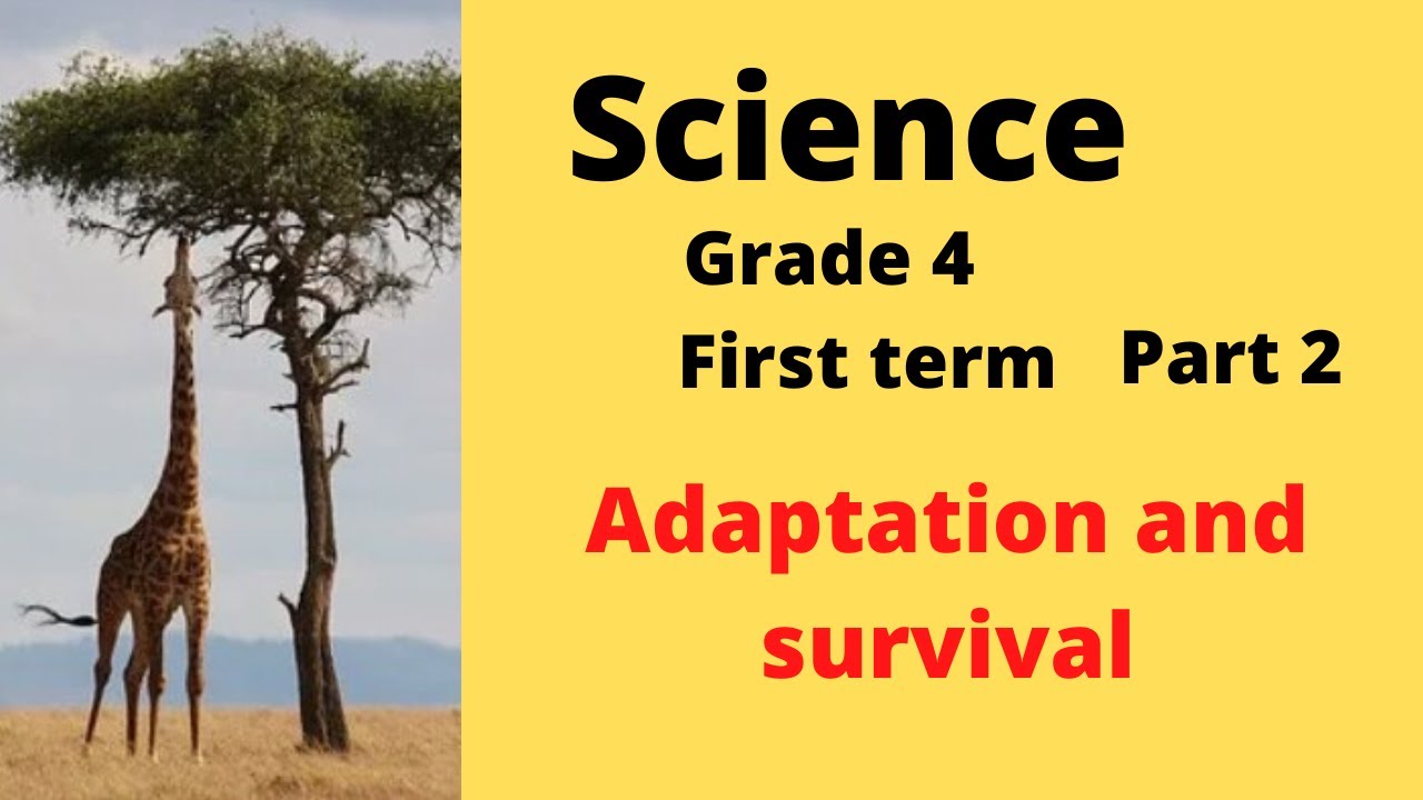 🔴 Science/grade 4/adaptation and survival#2 unit 1/consept 1 lesson 1 ...