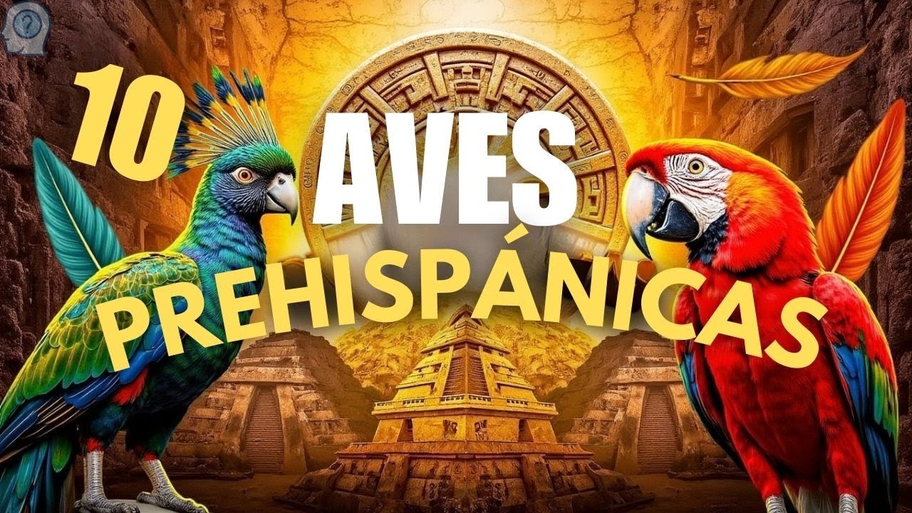 10 datos fascinantes sobre las aves prehispánicas y sus plumas - YouTube