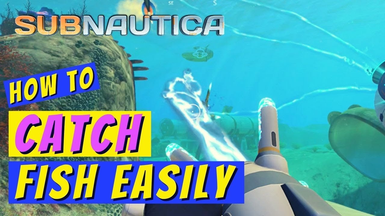 Subnautica How To Catch Fish Easily - YouTube
