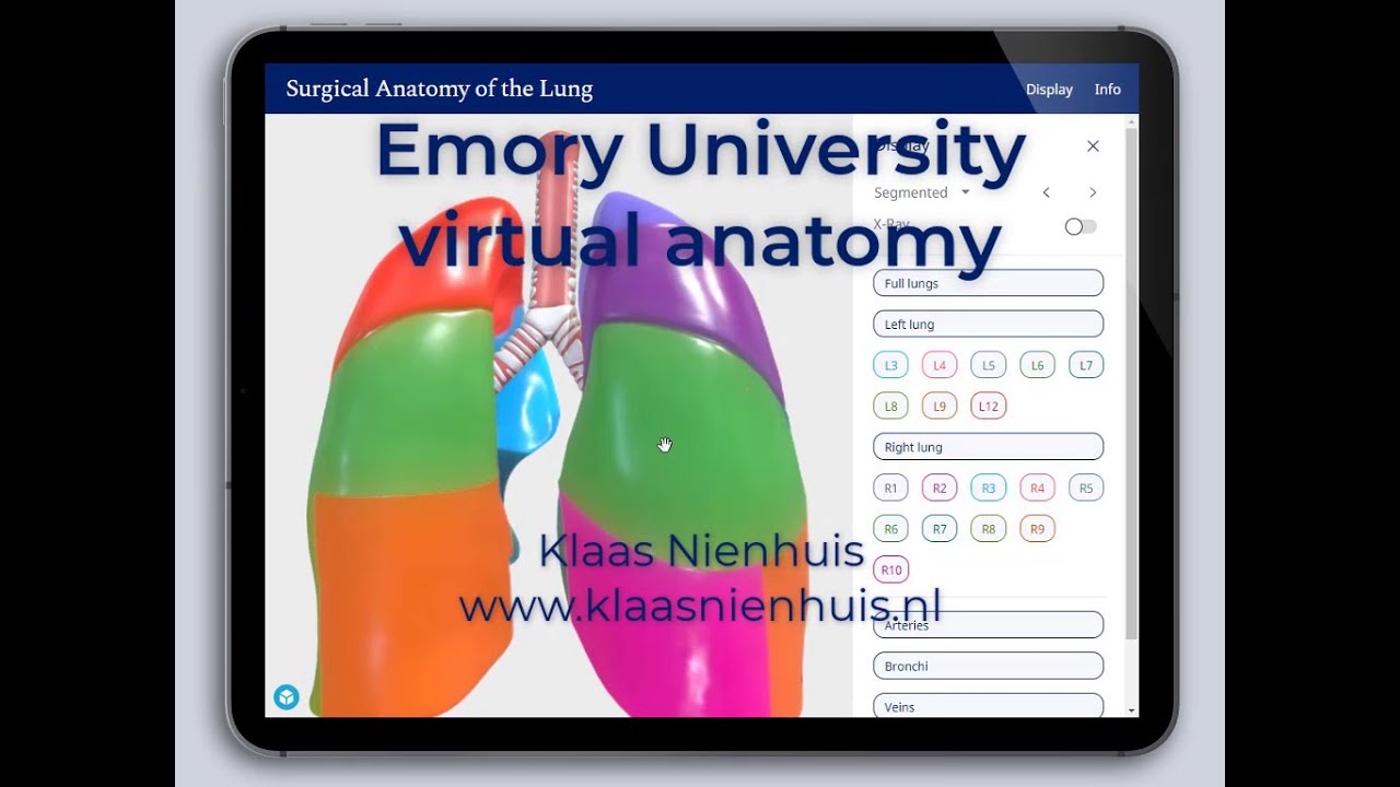3D interactive anatomy for Emory University - YouTube