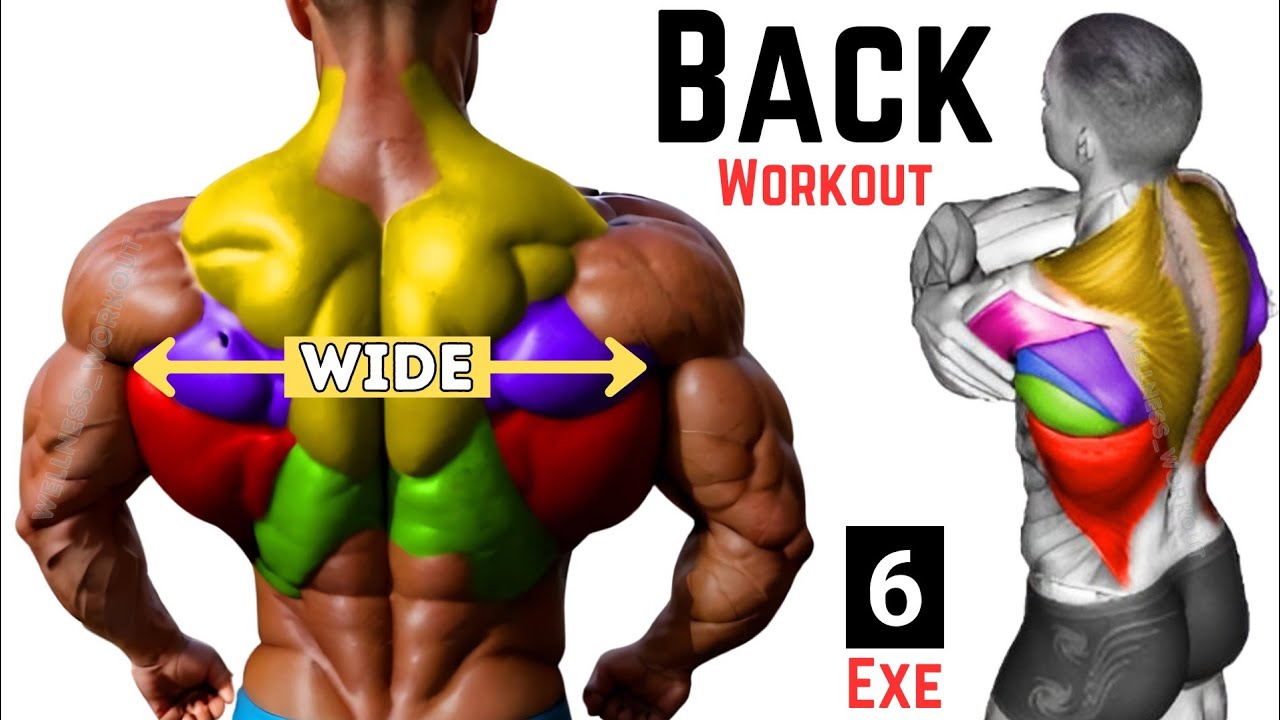 Ultimate Back Workout Routine (6 Effective Exercises) - YouTube