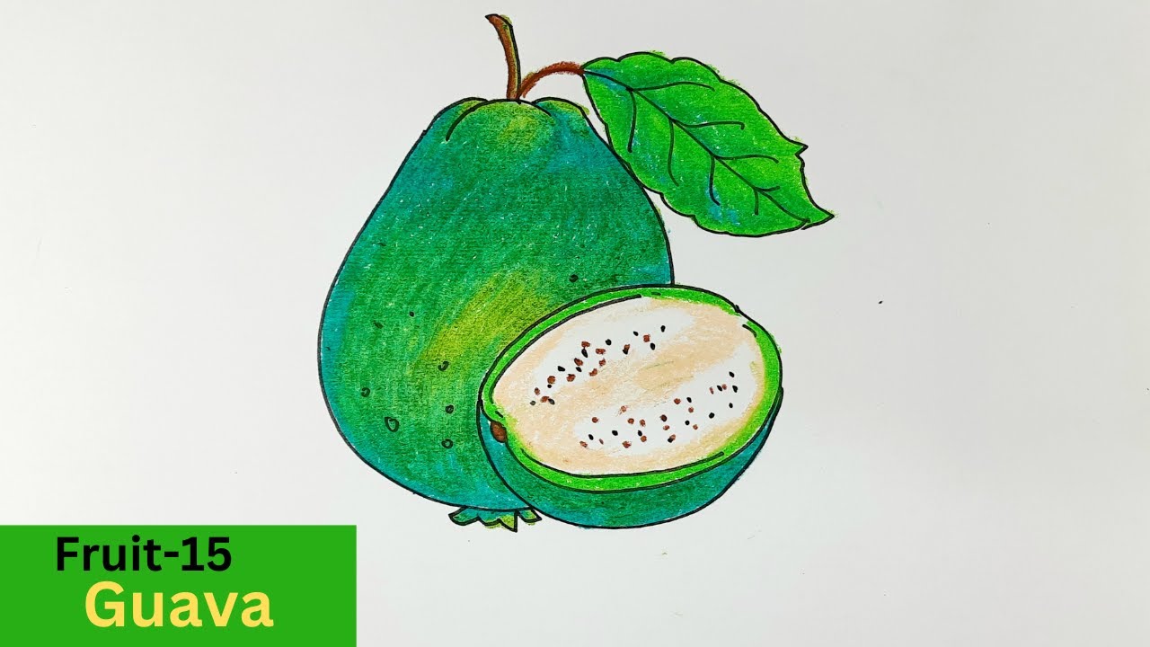 Guava/Guava drawing/ easy guava drawing tutorial for kids/ simple fruit ...