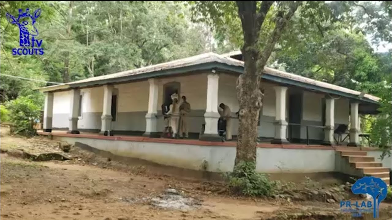 PATROL CORNER: IJUE HISTORIA YA BAHATI CAMP - YouTube