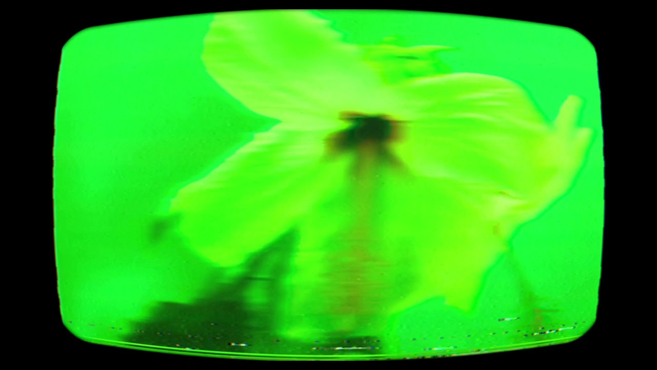 aldn - I always cared [official lyric video] - YouTube Music