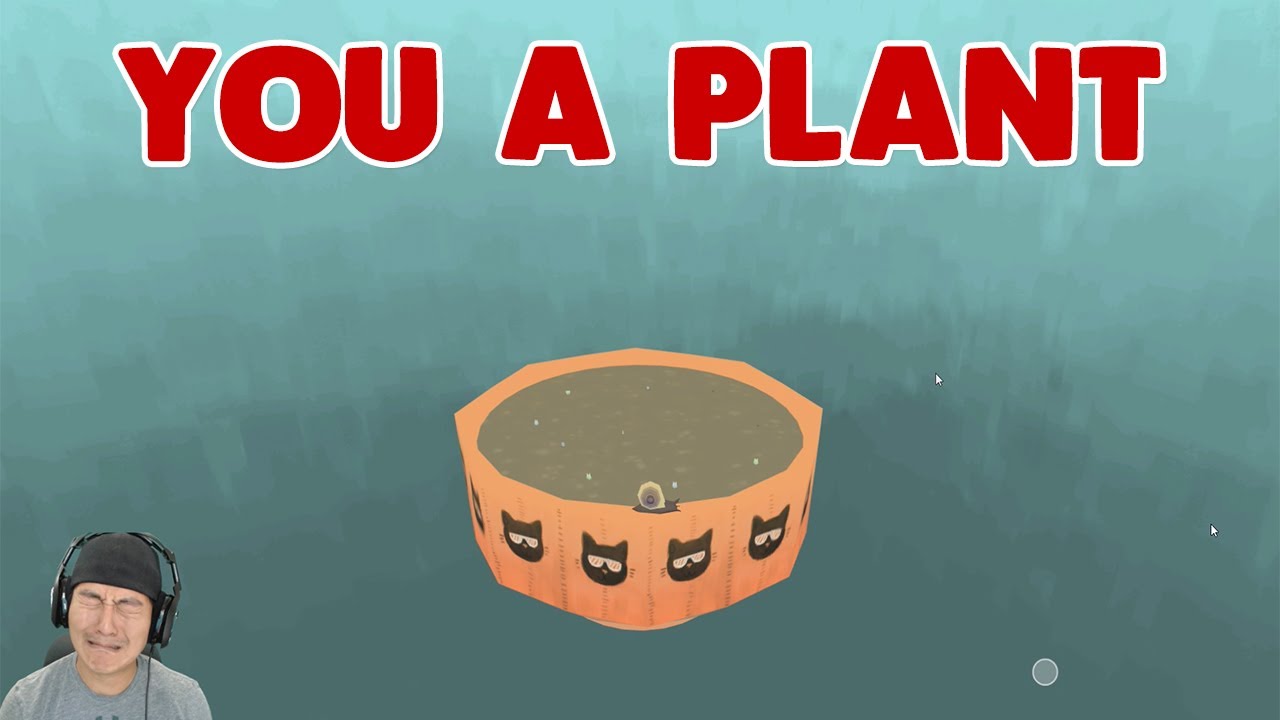 FIRST 15 MINUTES GAME PLAY - Viridi - Water a Plant... - YouTube