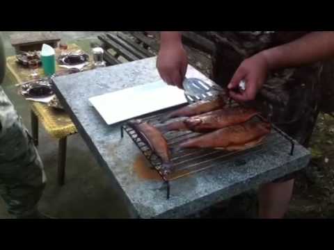 shebolili kalmaxi da oragilis steiki - YouTube