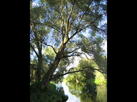 ΚΑΤΩ ΑΠ ΤΟΝ ΙΣΚΙΟ ΤΗΣ ΙΤΙΑΣ - ΝΤΙΝΑ ΣΑΜΠΑΝΗ - YouTube