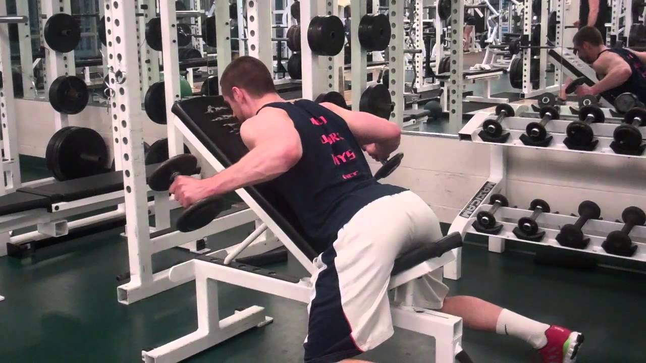 Bench Back Fly - YouTube