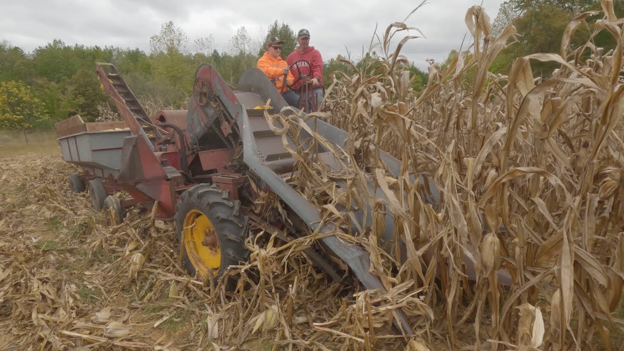Antique self propelled corn picker. Massey-Harris model SP - YouTube