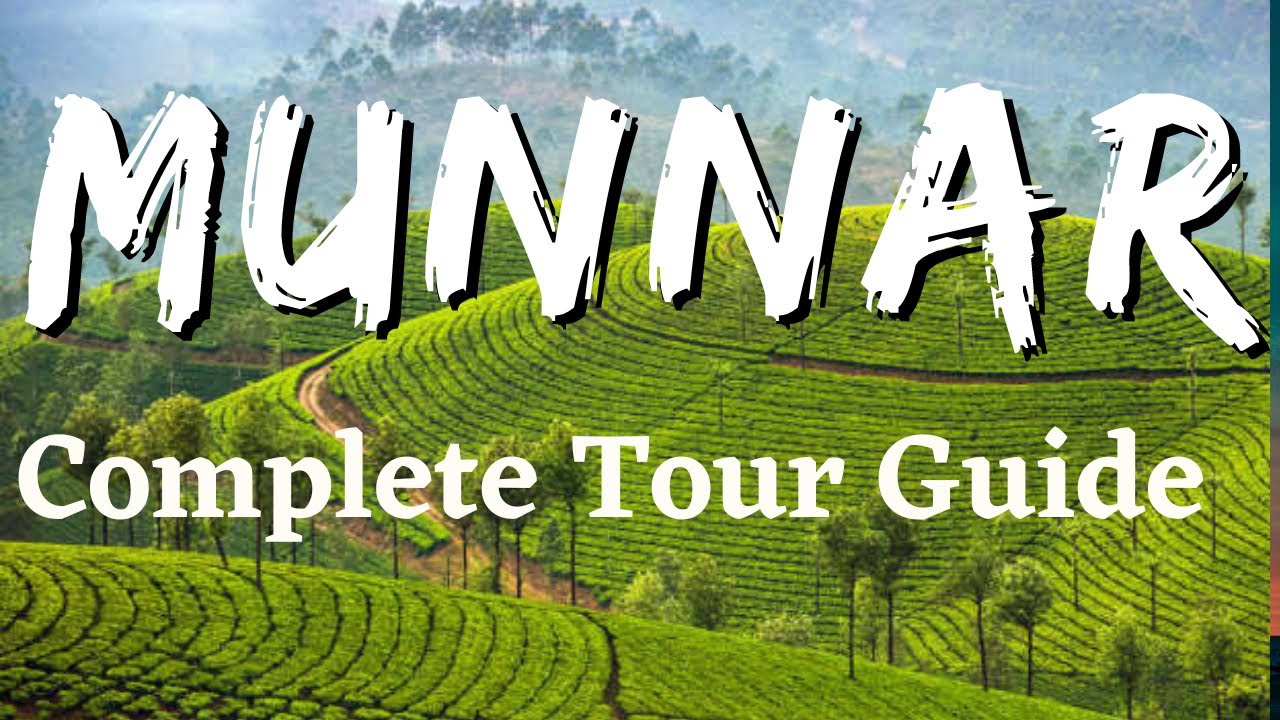 Munnar tourist Place। Munnar । Munnar Video। Tour Guide । #travel #blog ...