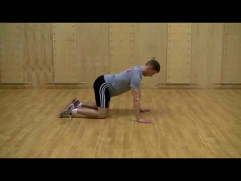 21 Quadruped Chin Tuck Apple ProRes 422 LT - YouTube