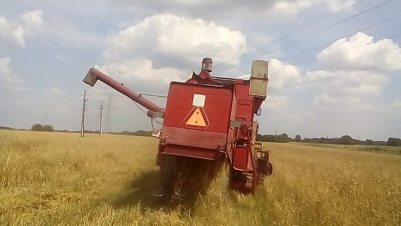 Żniwa 2019 z nowym nabytkiem czyli international 431 w akcji! - YouTube