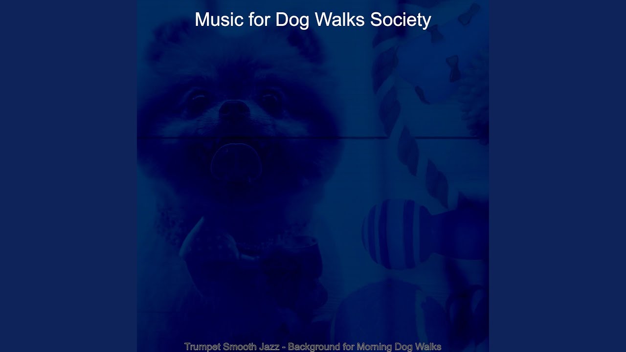 Fabulous Smooth Jazz Saxophone - Vibe for Walking with Your Dog - YouTube