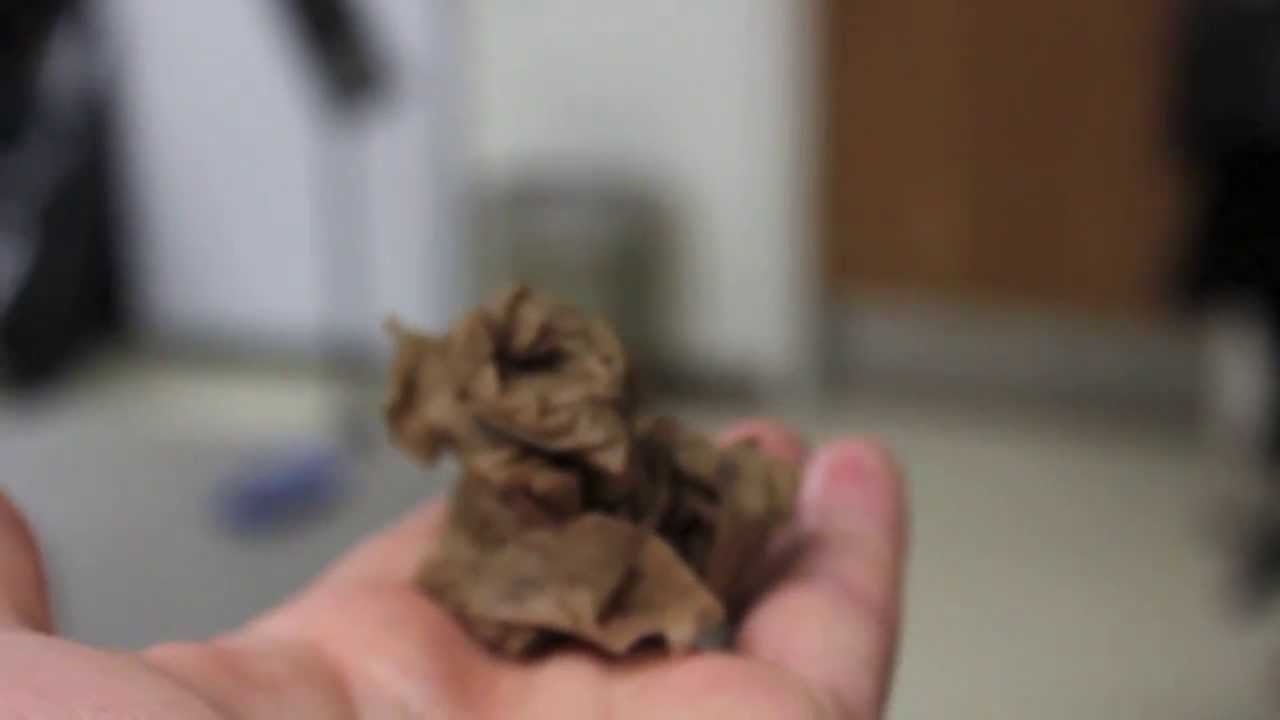 Paper Towel Game - YouTube