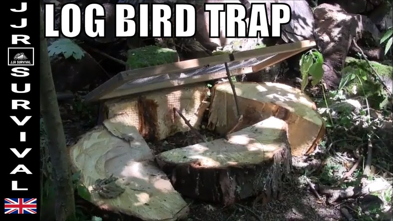 HOW TO MAKE A TRAP FROM LOGS - YouTube