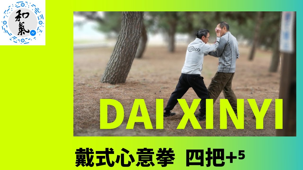 戴式心意拳「四把+⁵」vol.91 Dai shi Xinyi Chinese Martial Arts 中国武術 Kungfu wushu和気功夫 - YouTube