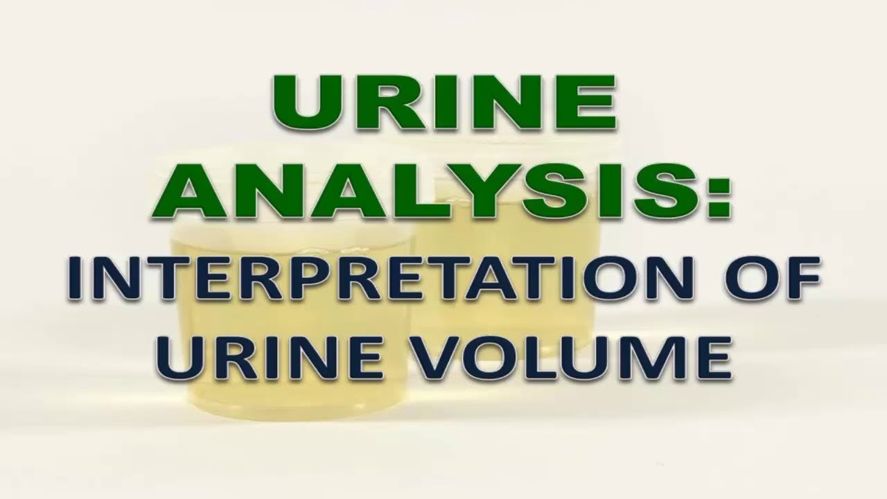 URINE ANALYSIS Interpretation Of Urine Volume YouTube urine-analysis-interpretation-of-urine-volume-youtube
