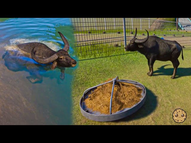 My Own Animal Zoo , Planet Zoo Builder Game Part 1 - Videos For Kids