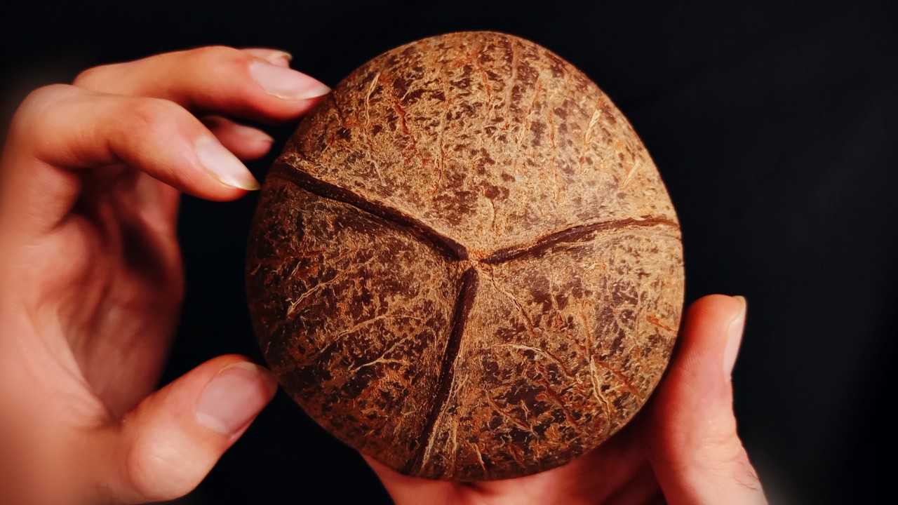 Asmr Scratching Wood | amazing wood asmr - YouTube