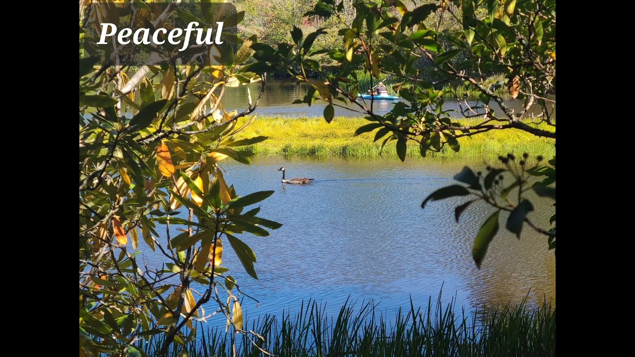 Hiking Julian Price Lake Loop Trail - YouTube