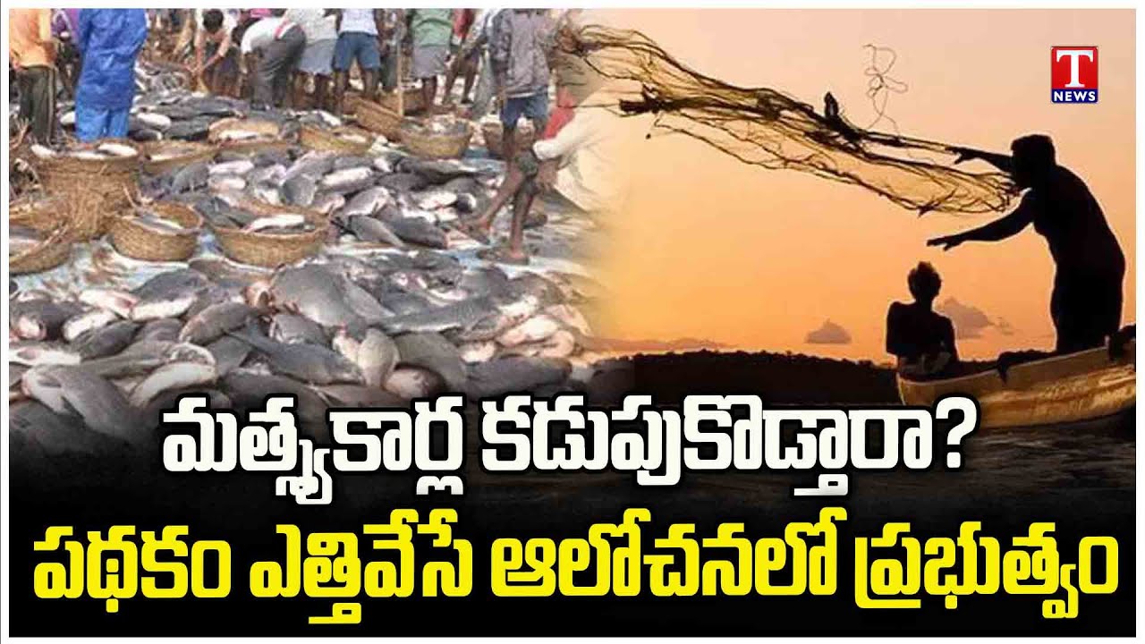 Congress Govt Planning To Stop Fish Seeds Distribution Scheme In ...