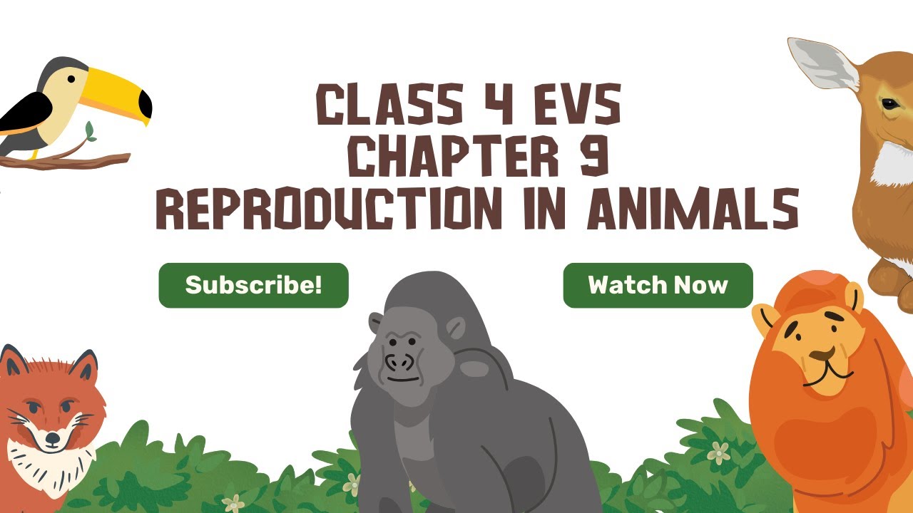 Class 4 EVS Chapter 9 Reproduction in Animals @worldofworksheetswow8570 ...