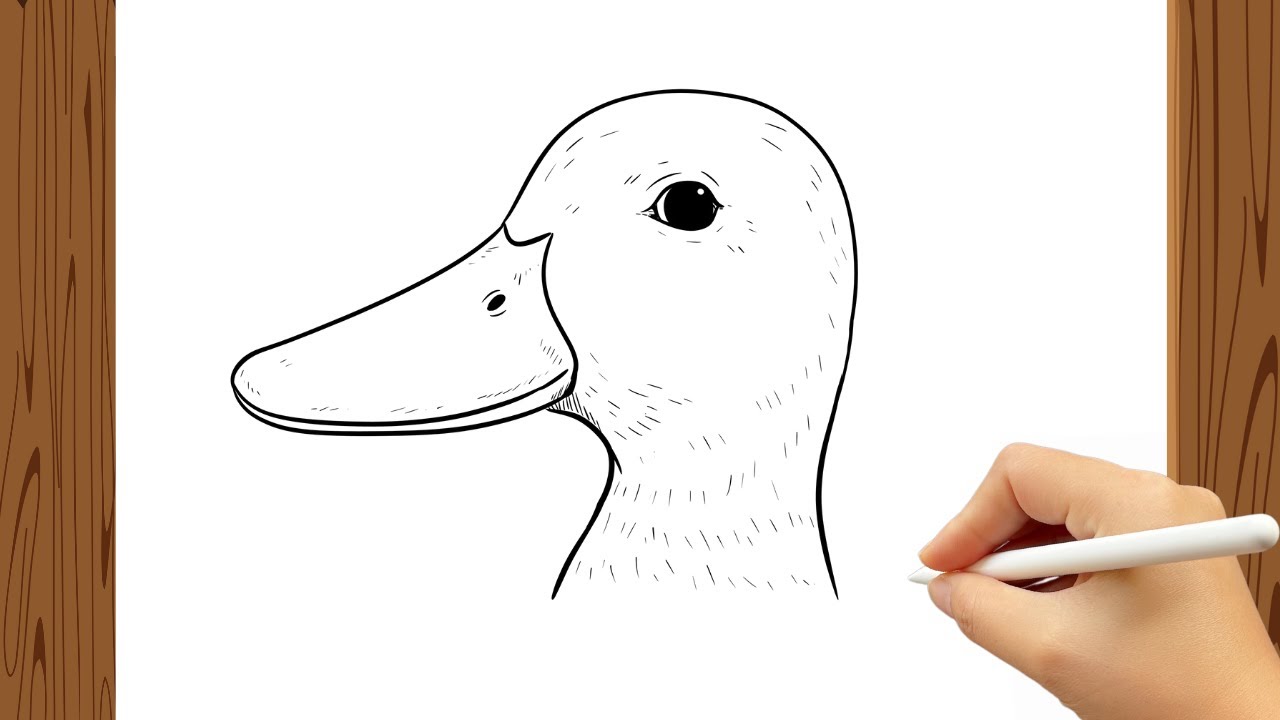 How to Draw Duck Beak - YouTube