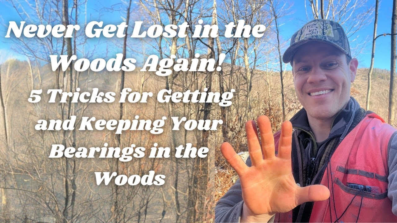 Never Get Lost In the Woods Again! 5 Navigation Tricks from a Forester ...