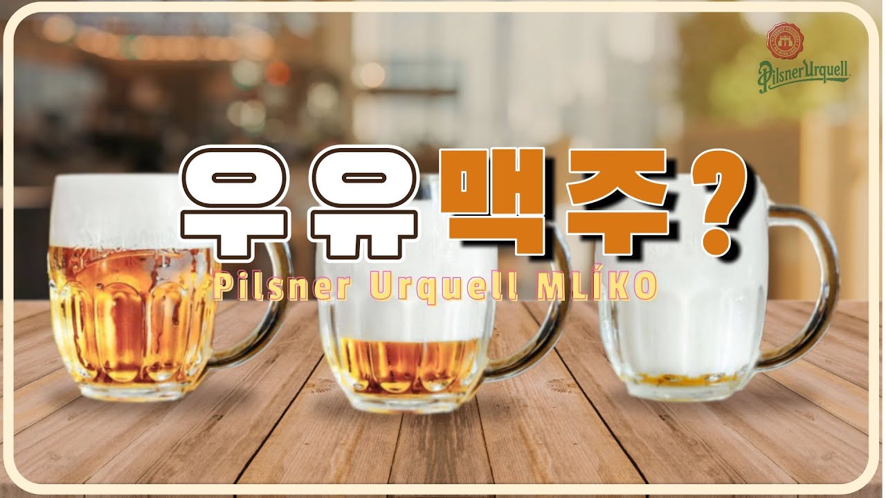 가짜 크림맥주는 가라! 우유맥주 - 밀코 필스너 우르켈 // Not fake cream, milk beer Pilsner ...