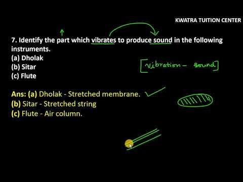 7. Identify the part which vibrates to produce sound in the following ...