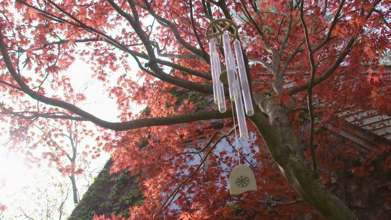 Peaceful Wind Chimes - 6 Hours of Relaxing Wind Chimes with Nature ...