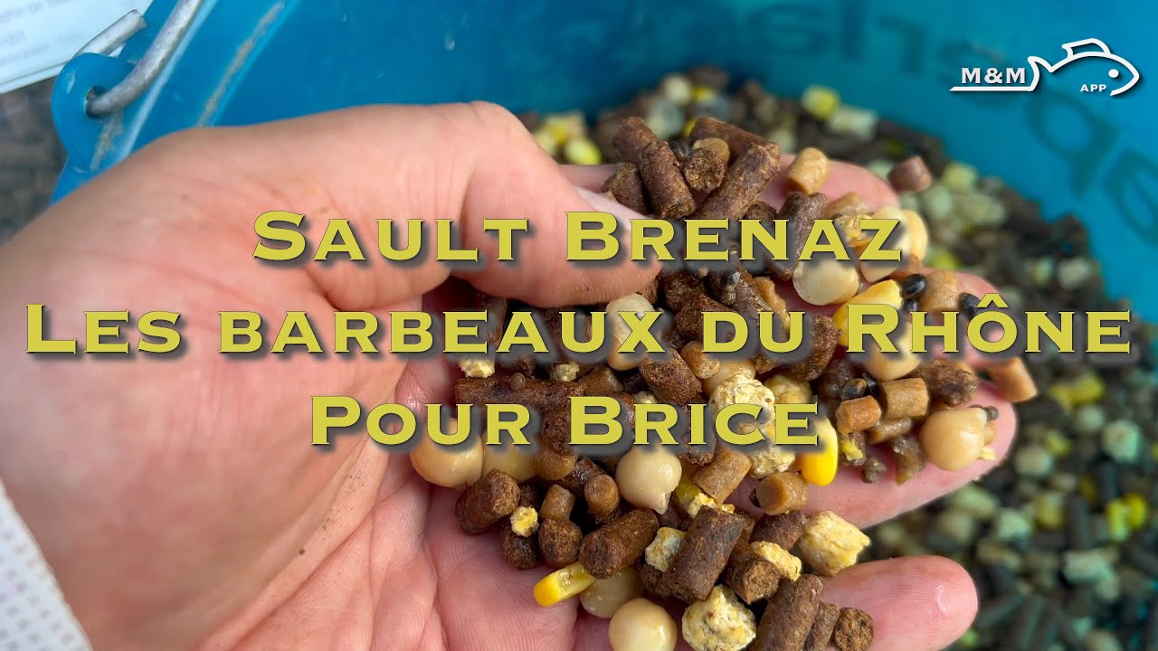 Pêche au BARBEAUX au HEAVY FEEDER dans le RHONE à SAULT BRENAZ - YouTube