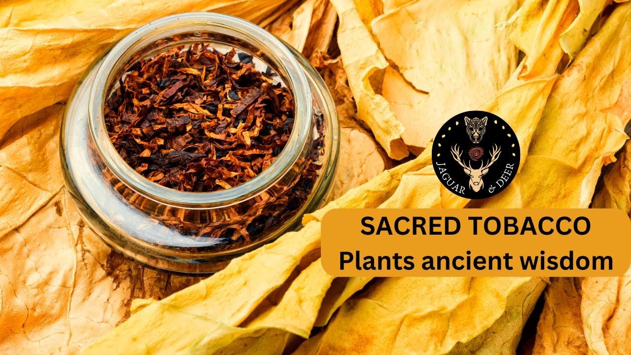 Sacred Tobacco: Ancient Plant Wisdom - YouTube