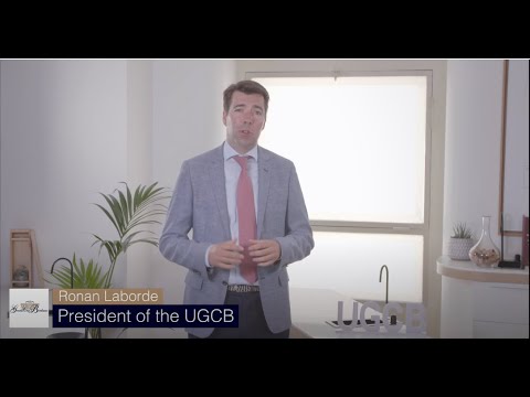 En Primeur 2019 Vintage by Ronan Laborde (UGCB President) - YouTube