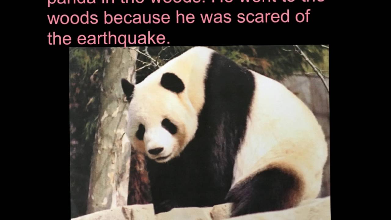 the magic tree house A perfect time for pandas - YouTube