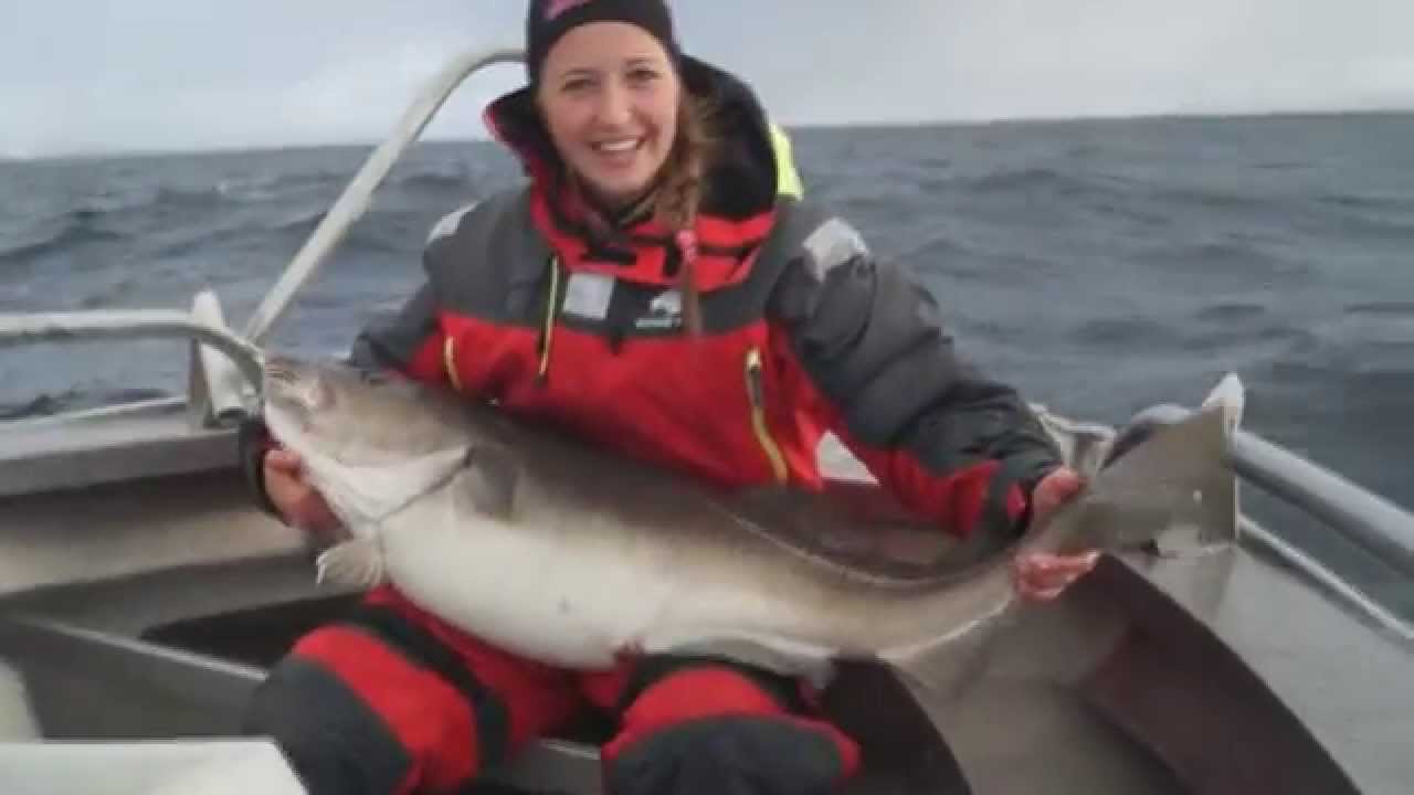 Crazy cod fishing at Havöysund, Nordic Sea Angling - YouTube