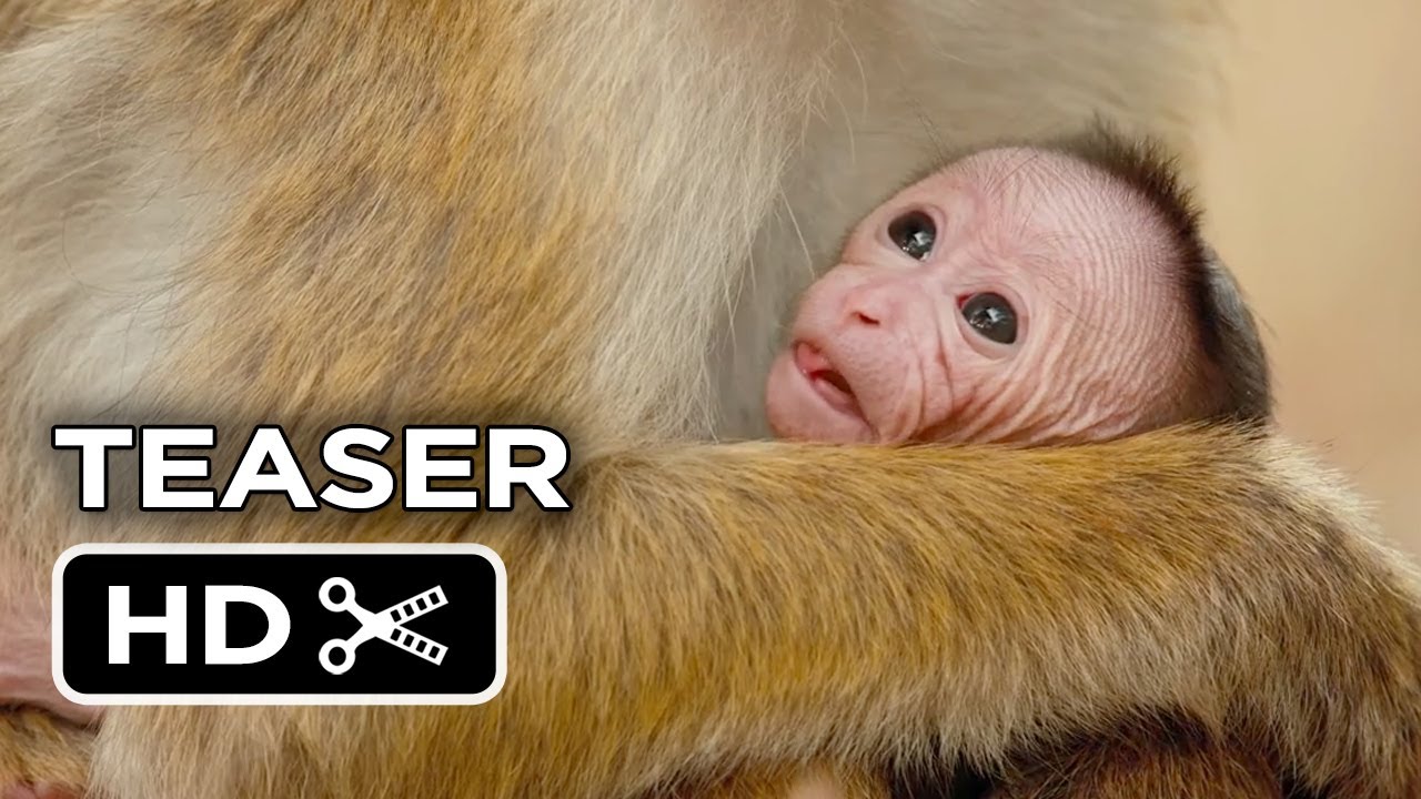 Monkey Kingdom Official Teaser #1 (2015) - Disneynature Documentary HD - YouTube