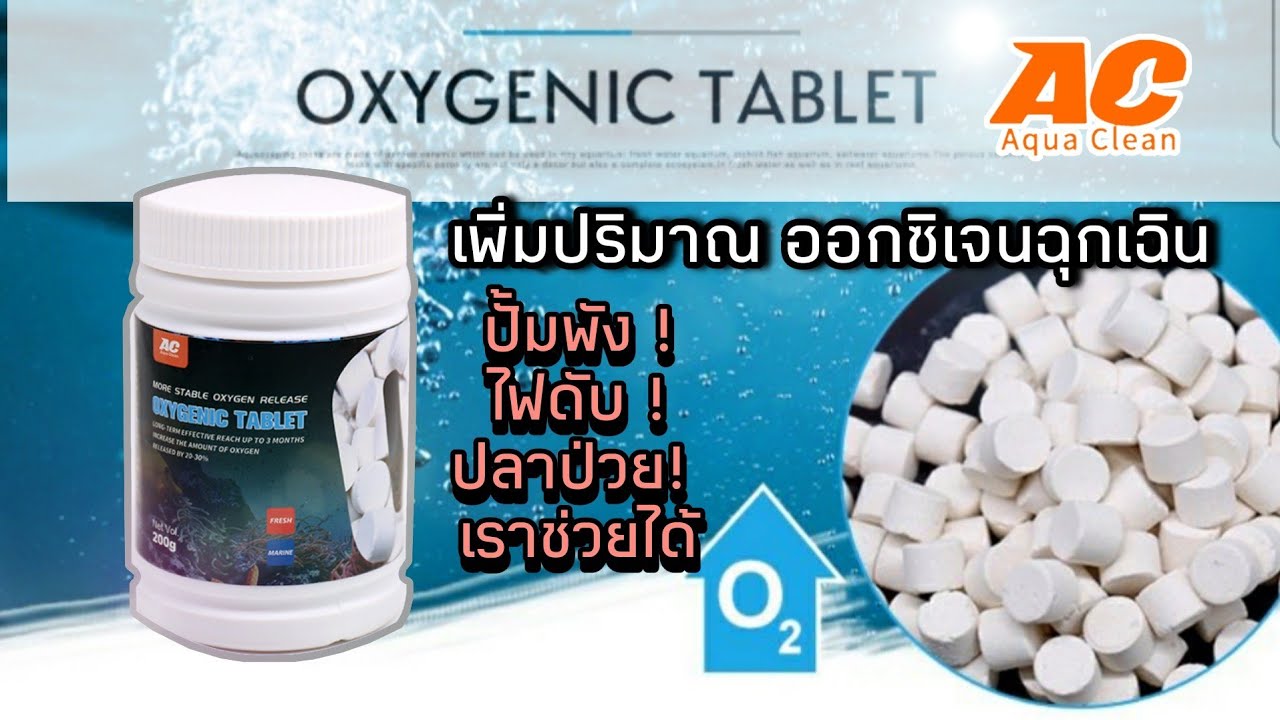 ออกซิเจนแบบเม็ด Oxgenic tablet BY AC ผลิตจากธรรมชาติปลอดภัยต่อปลา ...